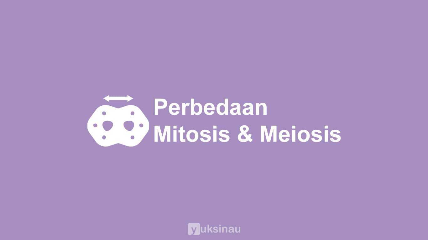 √ 17 Perbedaan Mitosis Dan Meiosis [tempat Terjadi]