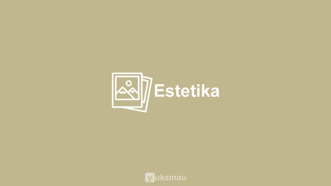 √ ESTETIKA: Pengertian, Fungsi, Manfaat, Teori, Contoh